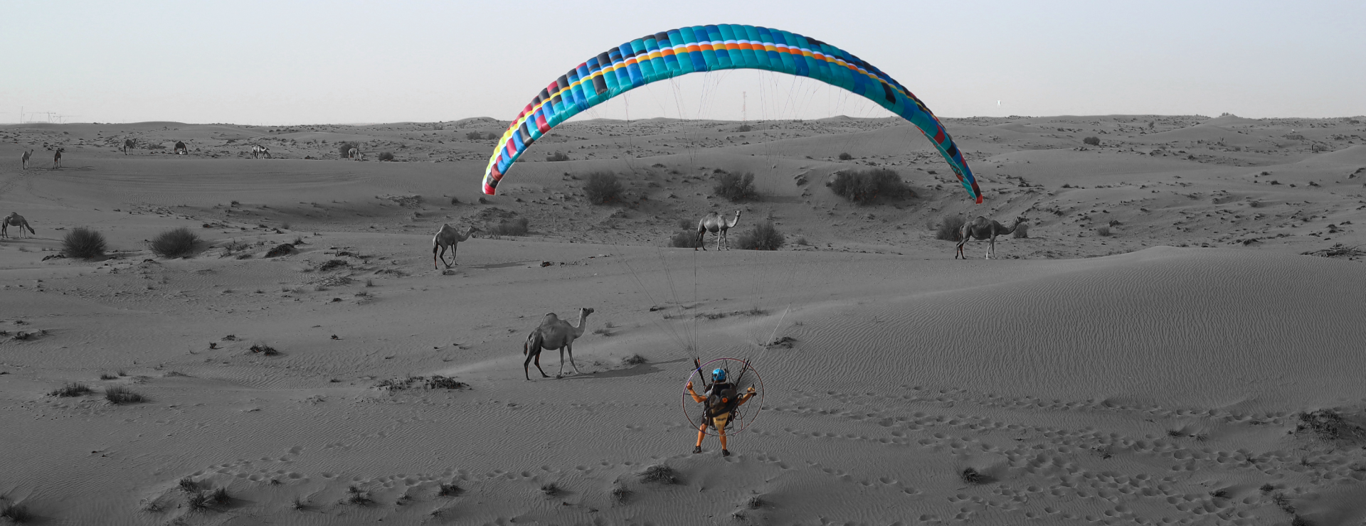 Icon | Paramotor